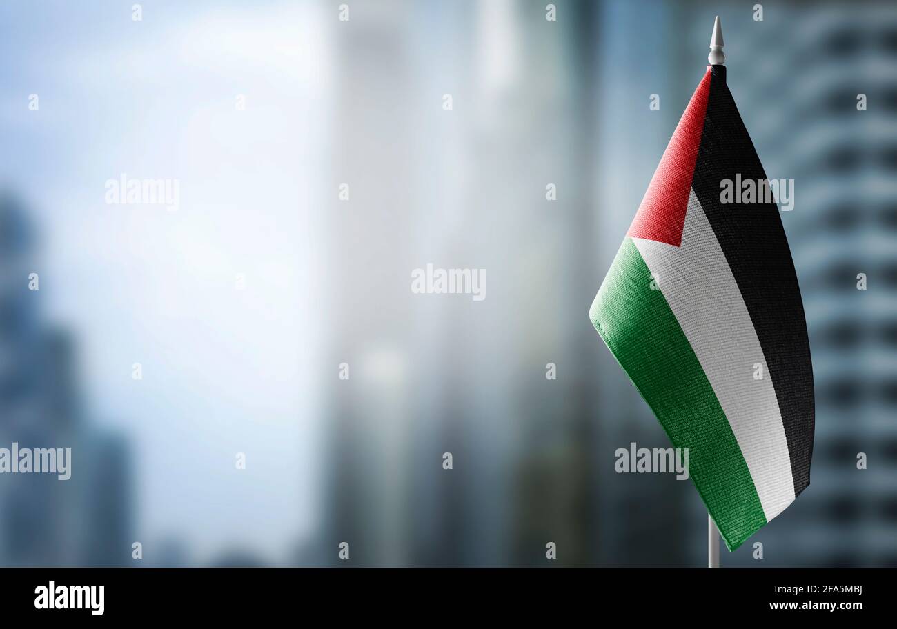 Small palestine flag hi-res stock photography and images - Alamy