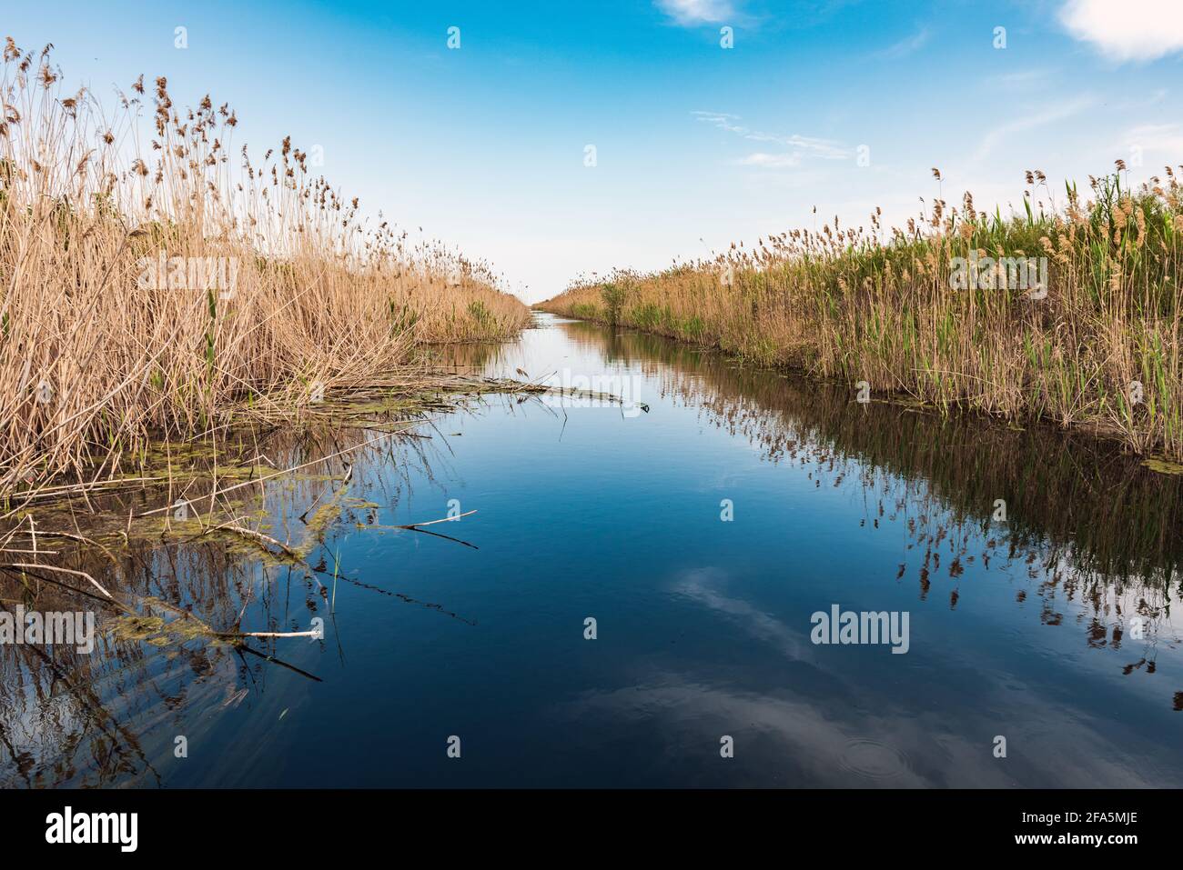 Clear channel water hi-res stock photography and images - Alamy