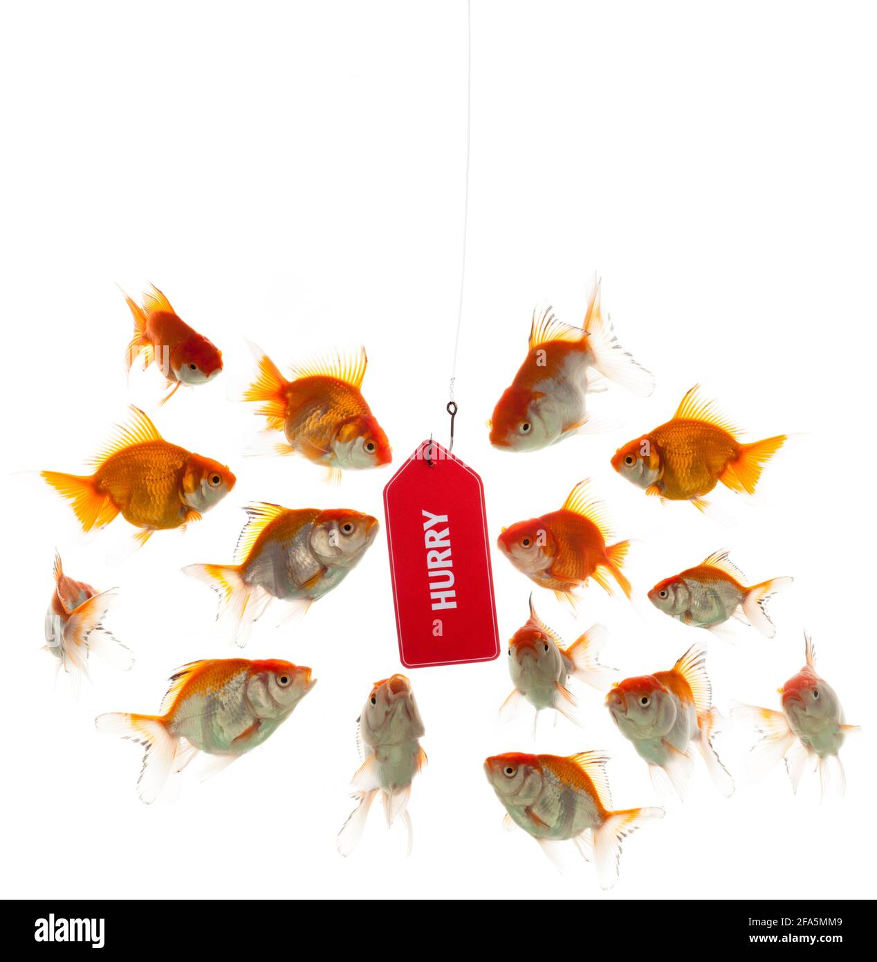 Chance of fraud hi-res stock photography and images - Alamy