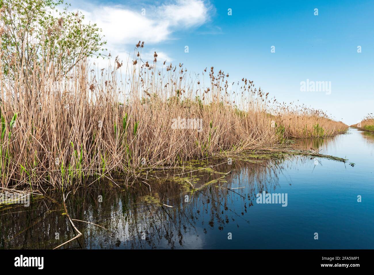Irrigation channel in countryside hi-res stock photography and images ...