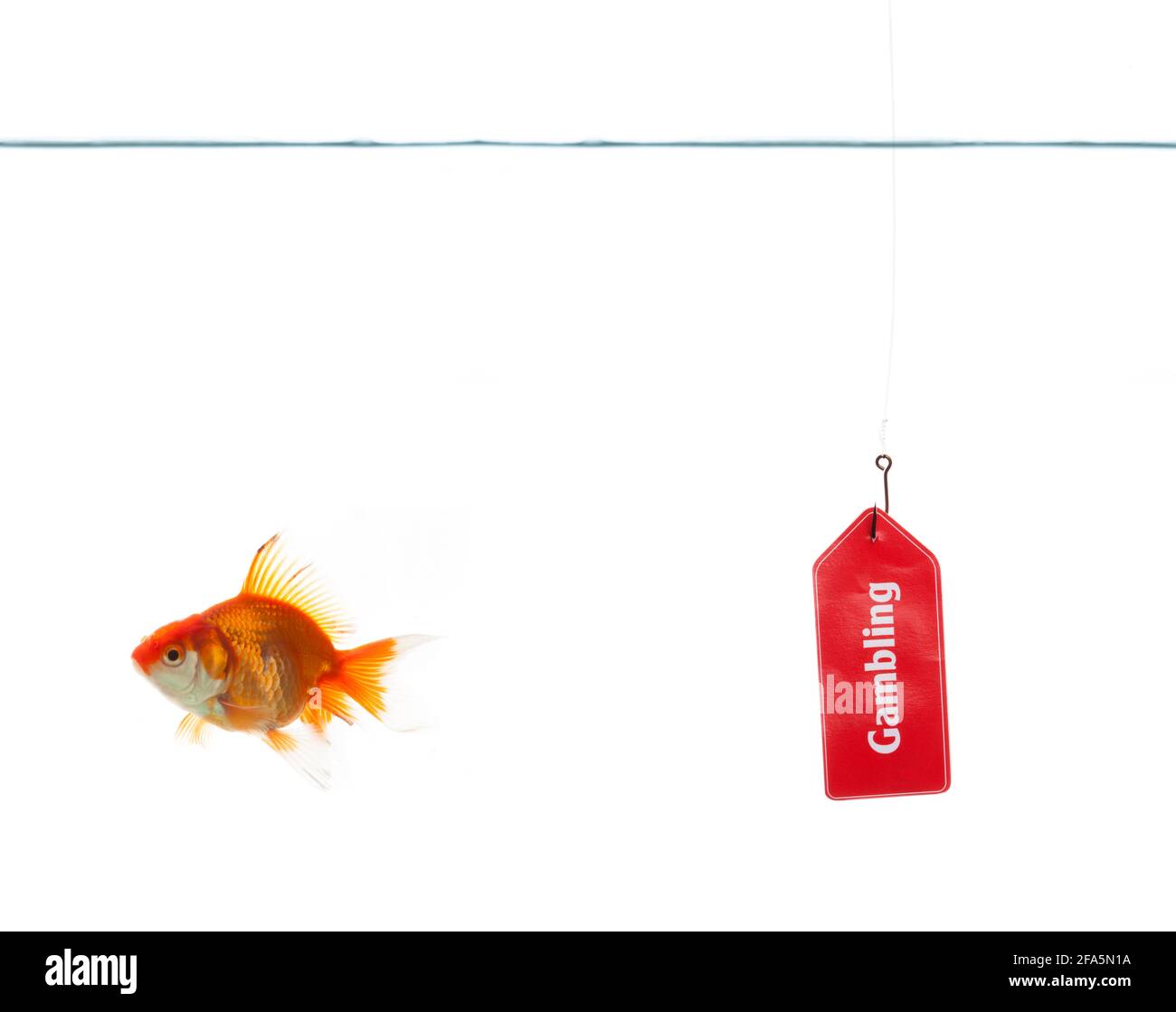 Idiot fish Cut Out Stock Images & Pictures - Alamy