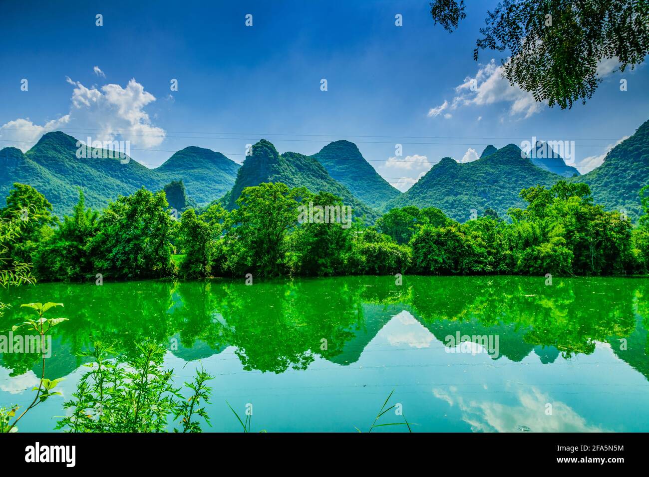 Landscape in summer Stock Photo - Alamy