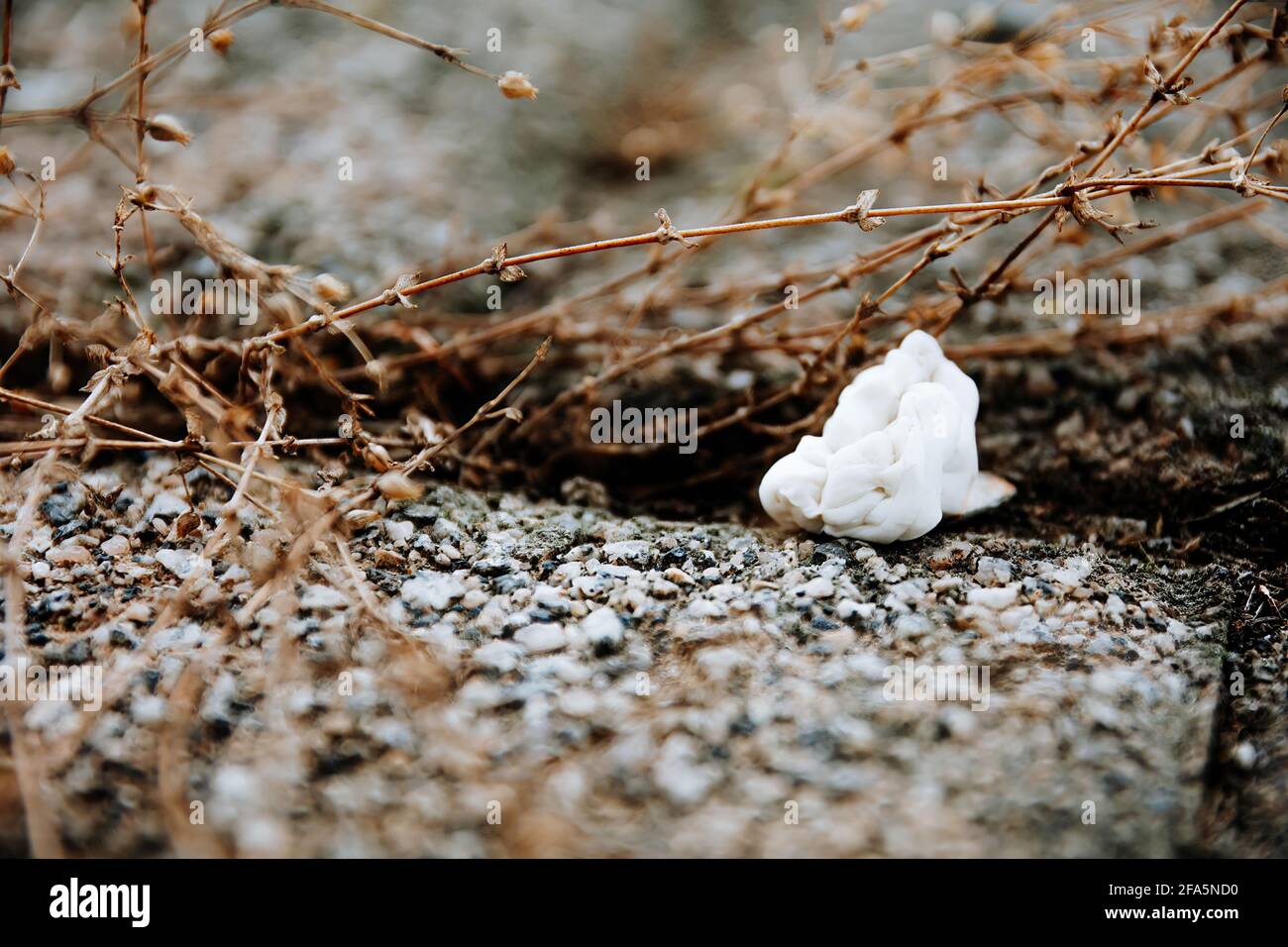 Throw chewing gum here hi-res stock photography and images - Alamy
