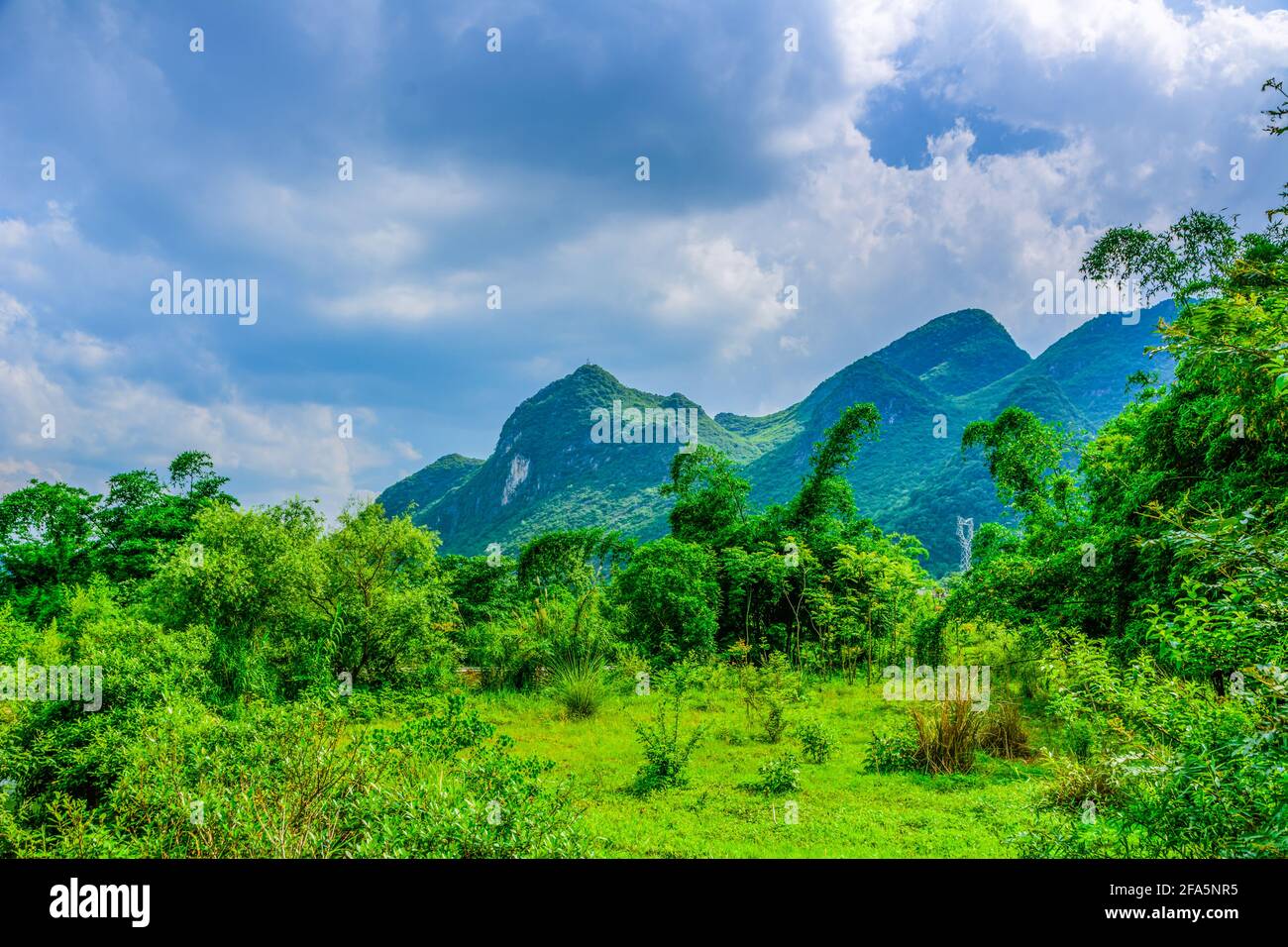Summer environment and season hi-res stock photography and images - Alamy