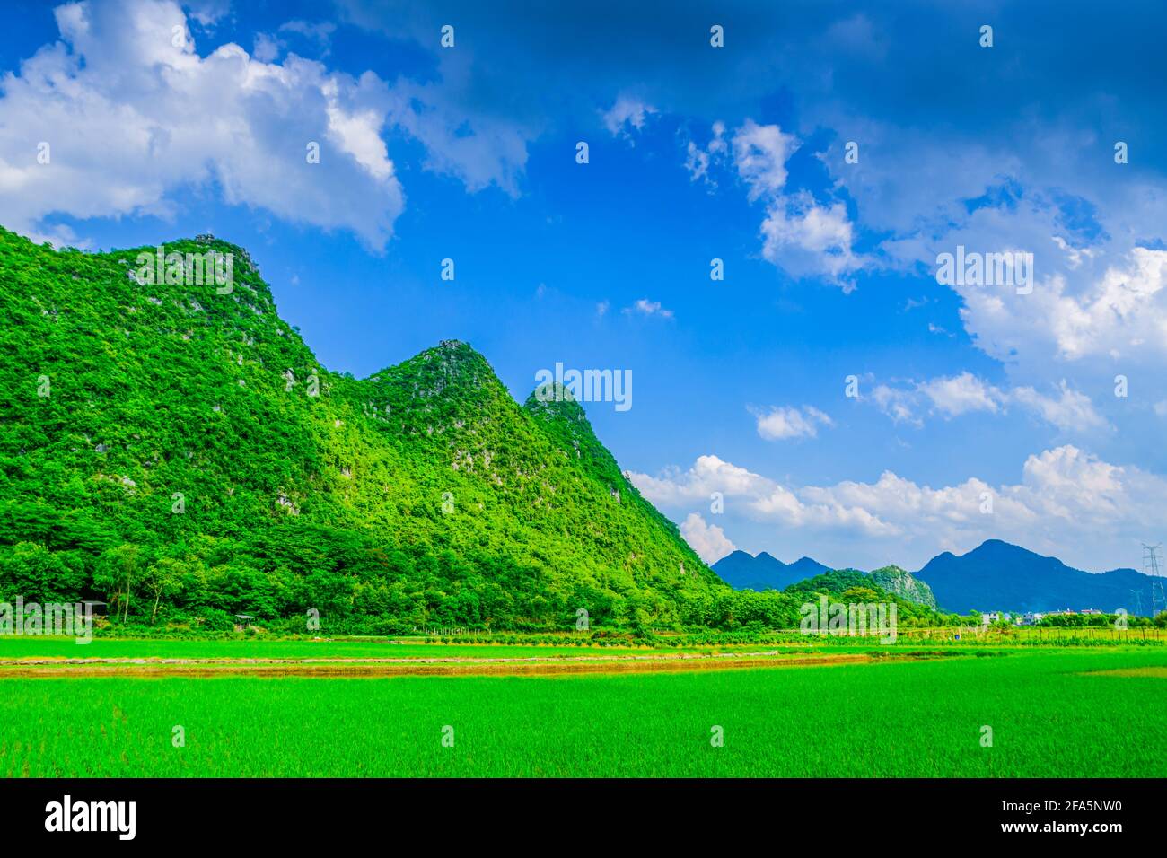 Landscape in summer season Stock Photo - Alamy