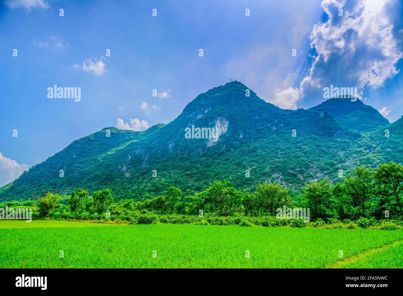 Landscape in summer season Stock Photo - Alamy
