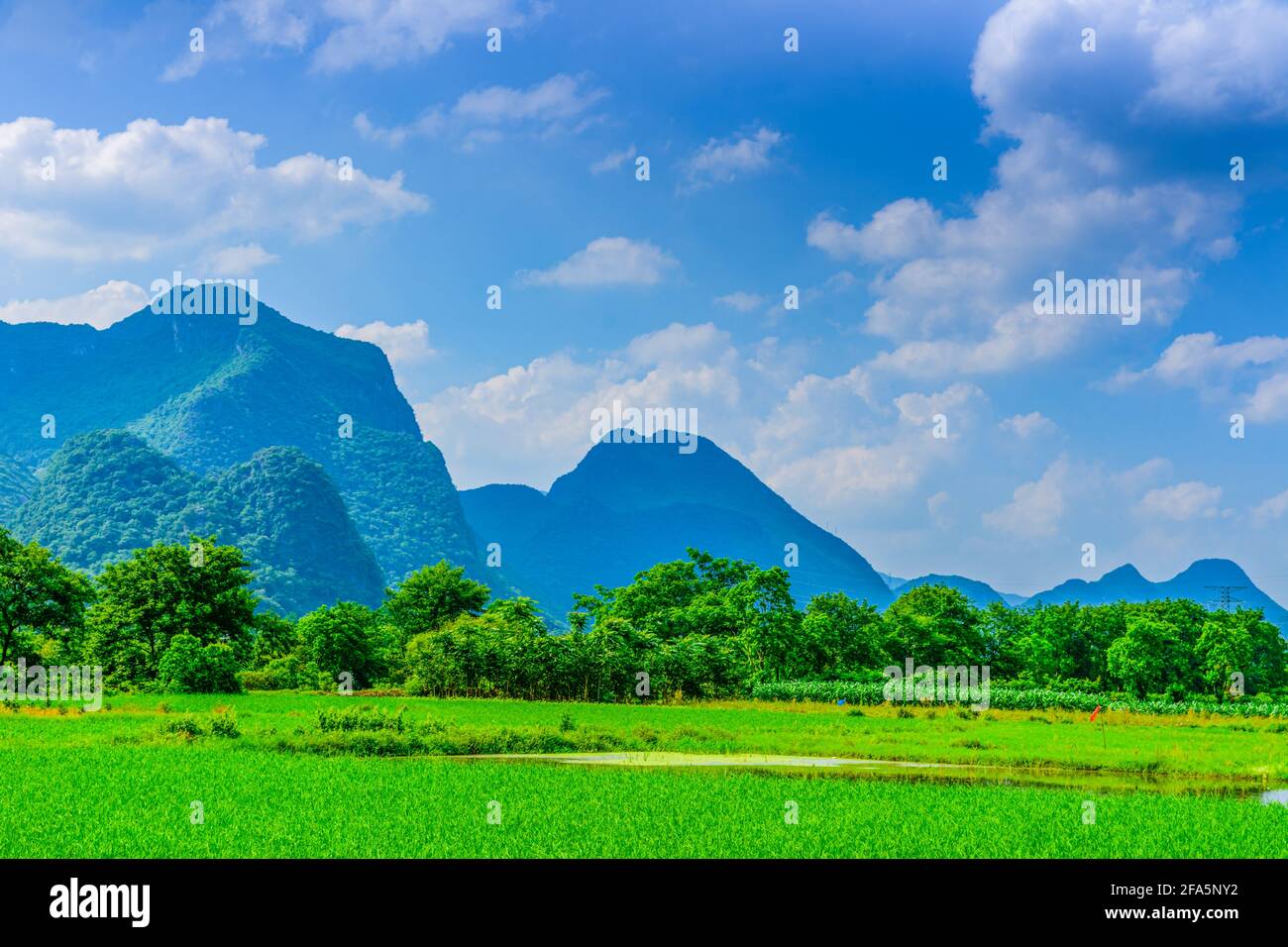 Landscape in summer season Stock Photo - Alamy