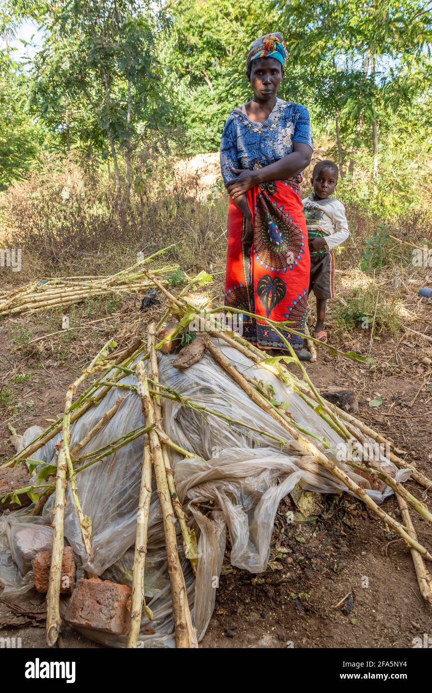 Soil conservation farming hi-res stock photography and images - Alamy