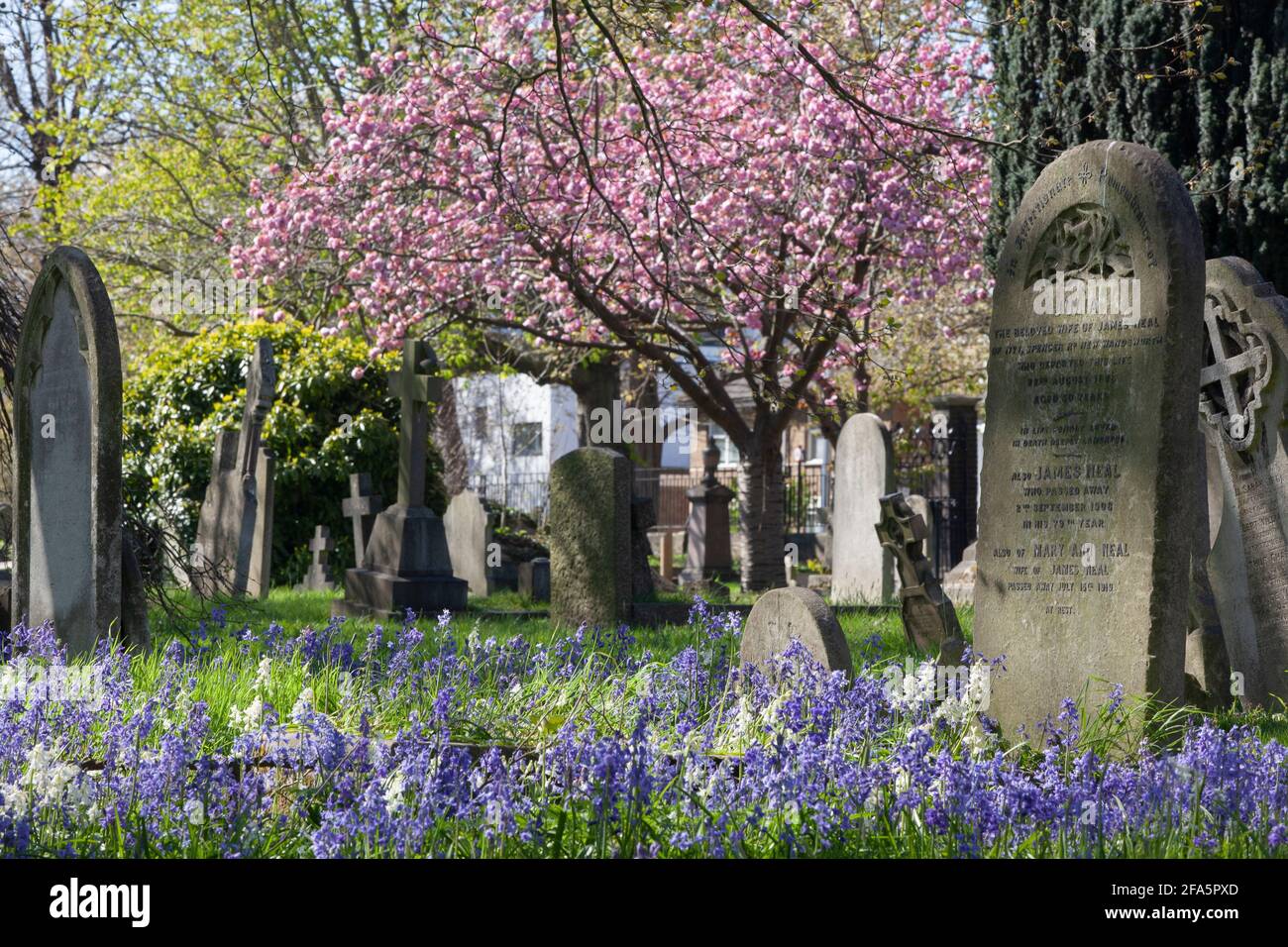 Battersea rise cemetery hi-res stock photography and images - Alamy