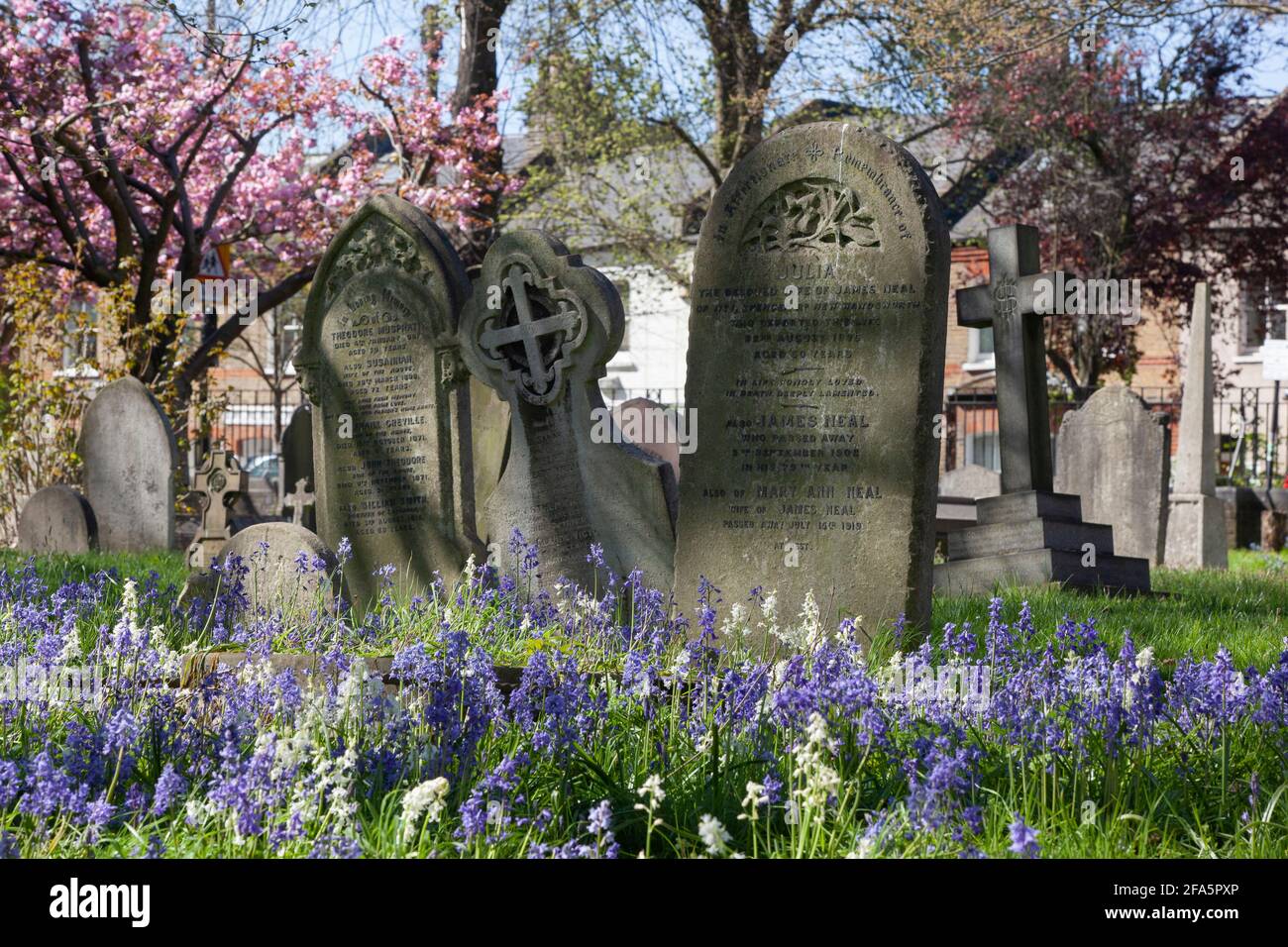 Battersea rise hi-res stock photography and images - Alamy