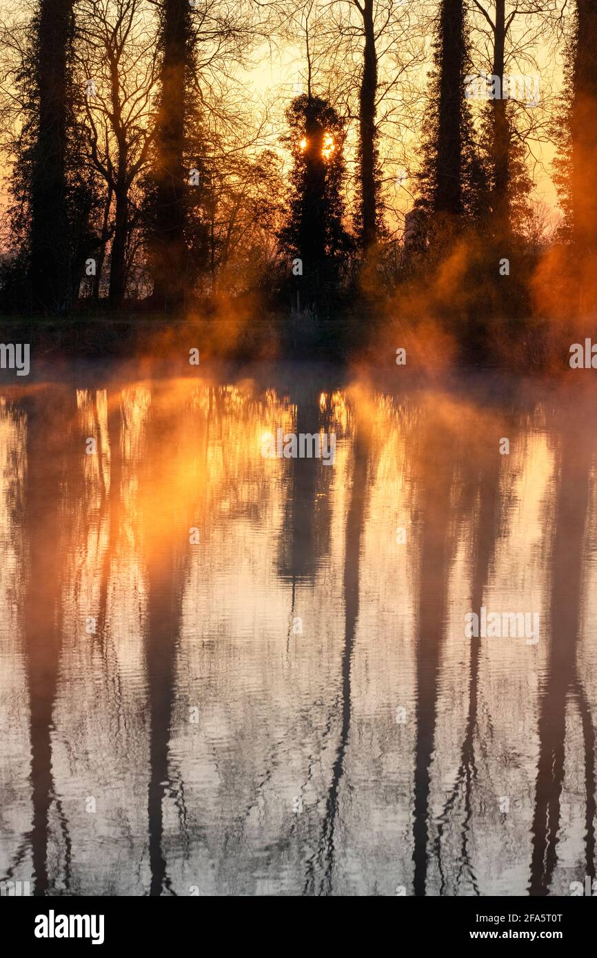 Ripples water trees hi-res stock photography and images - Alamy