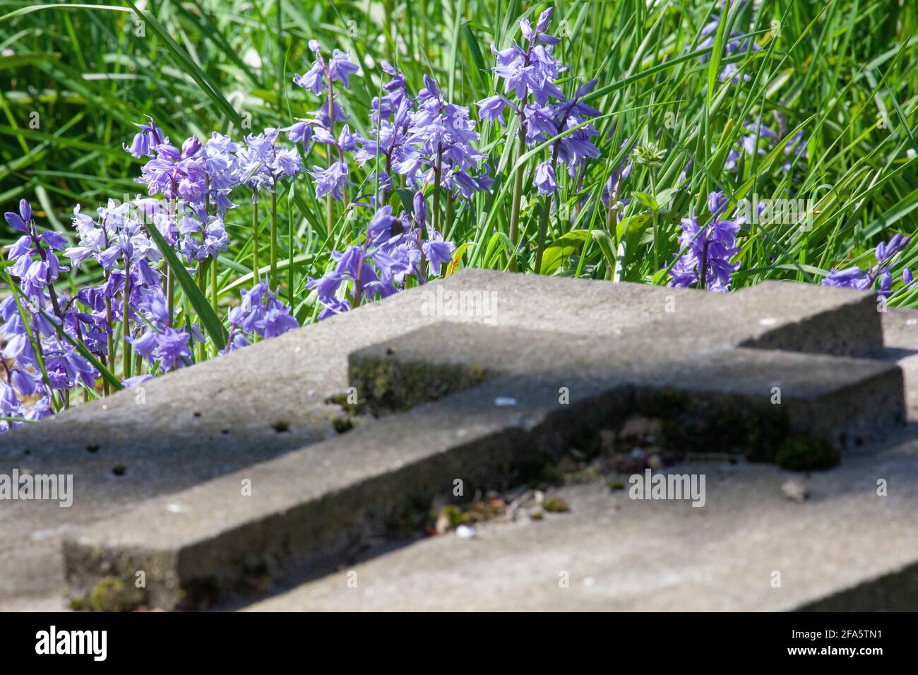 Christian watson hi-res stock photography and images - Alamy