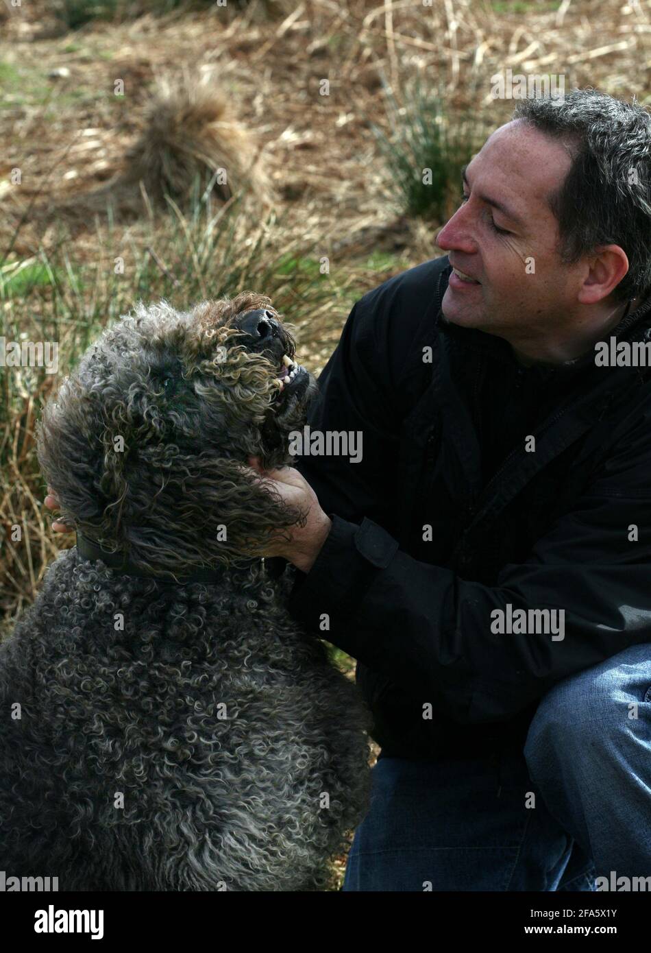 Hayhurst 26 hi-res stock photography and images - Alamy