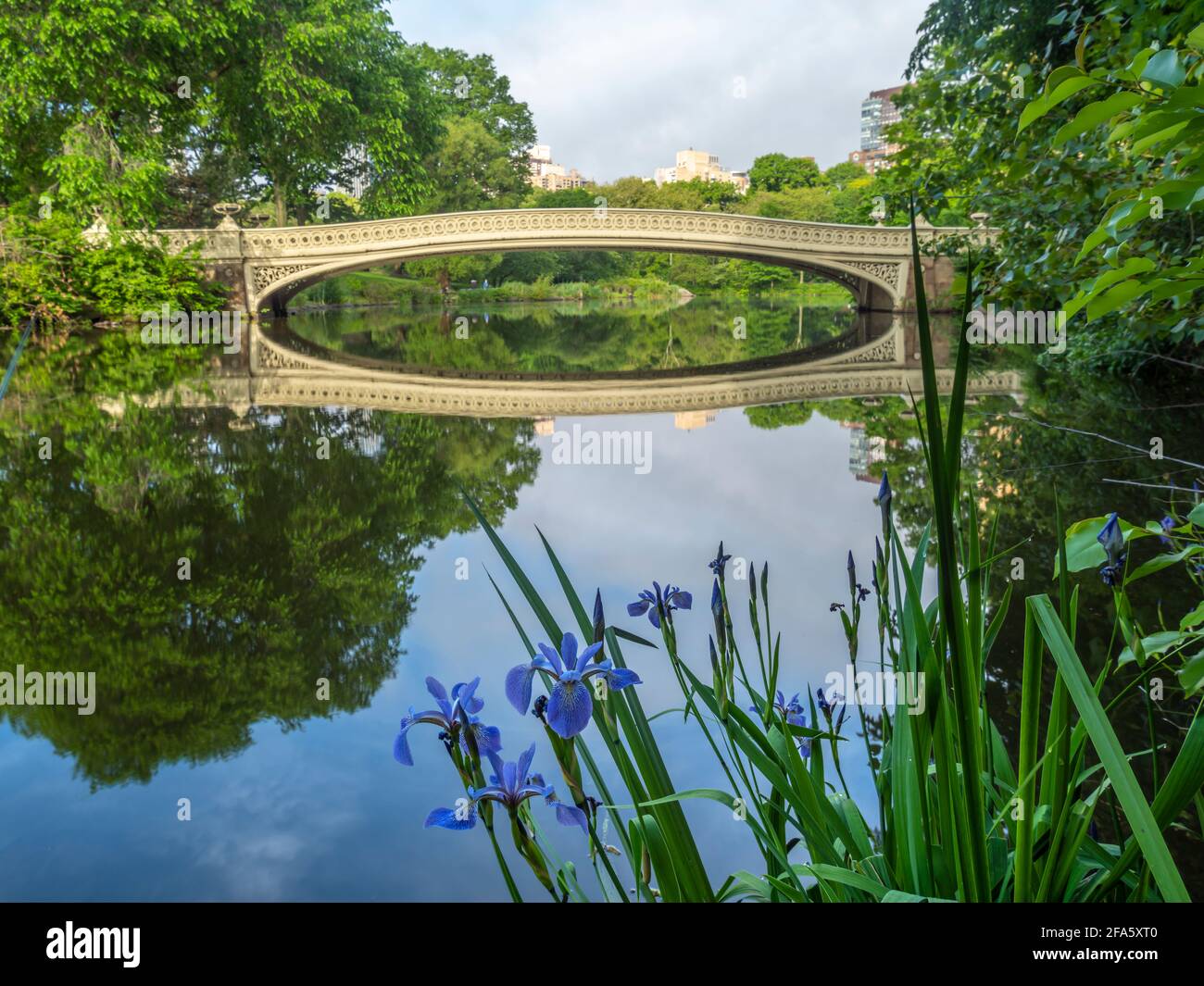 Bow bridge, Central Park, New York City early in the morning and spring ...