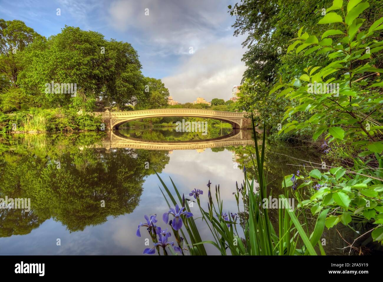 Bow bridge, Central Park, New York City early in the morning and spring ...