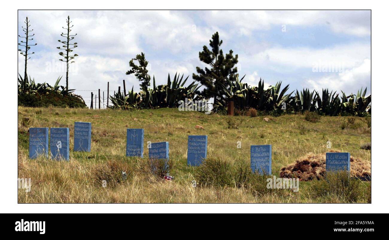 Independent Christmas Appeal.....Send a Cow or Stock Aid in Lesotho ...