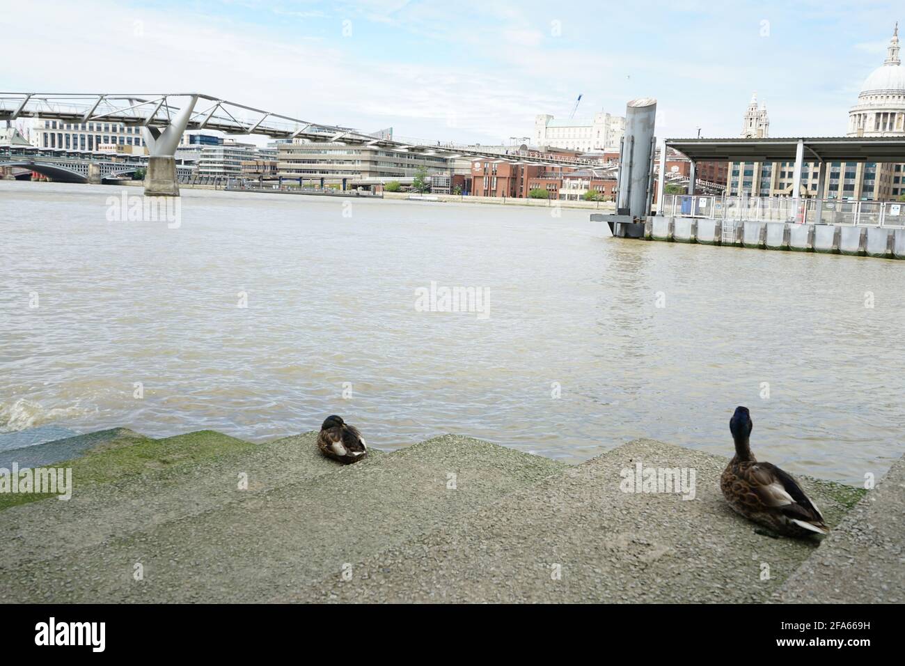 Overlooking the Thames River near Tower Bridge in London, England, U.K ...