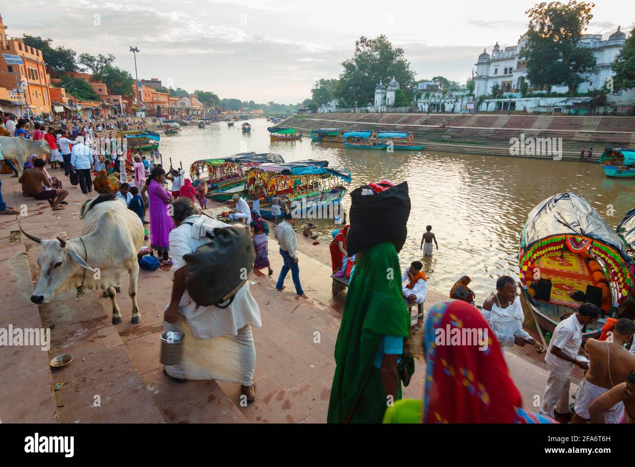 Chitrakoot, Madhya Pradesh, India : People and cows stand on the steps ...
