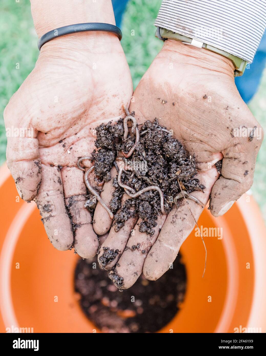 Vermicompost hi-res stock photography and images - Alamy