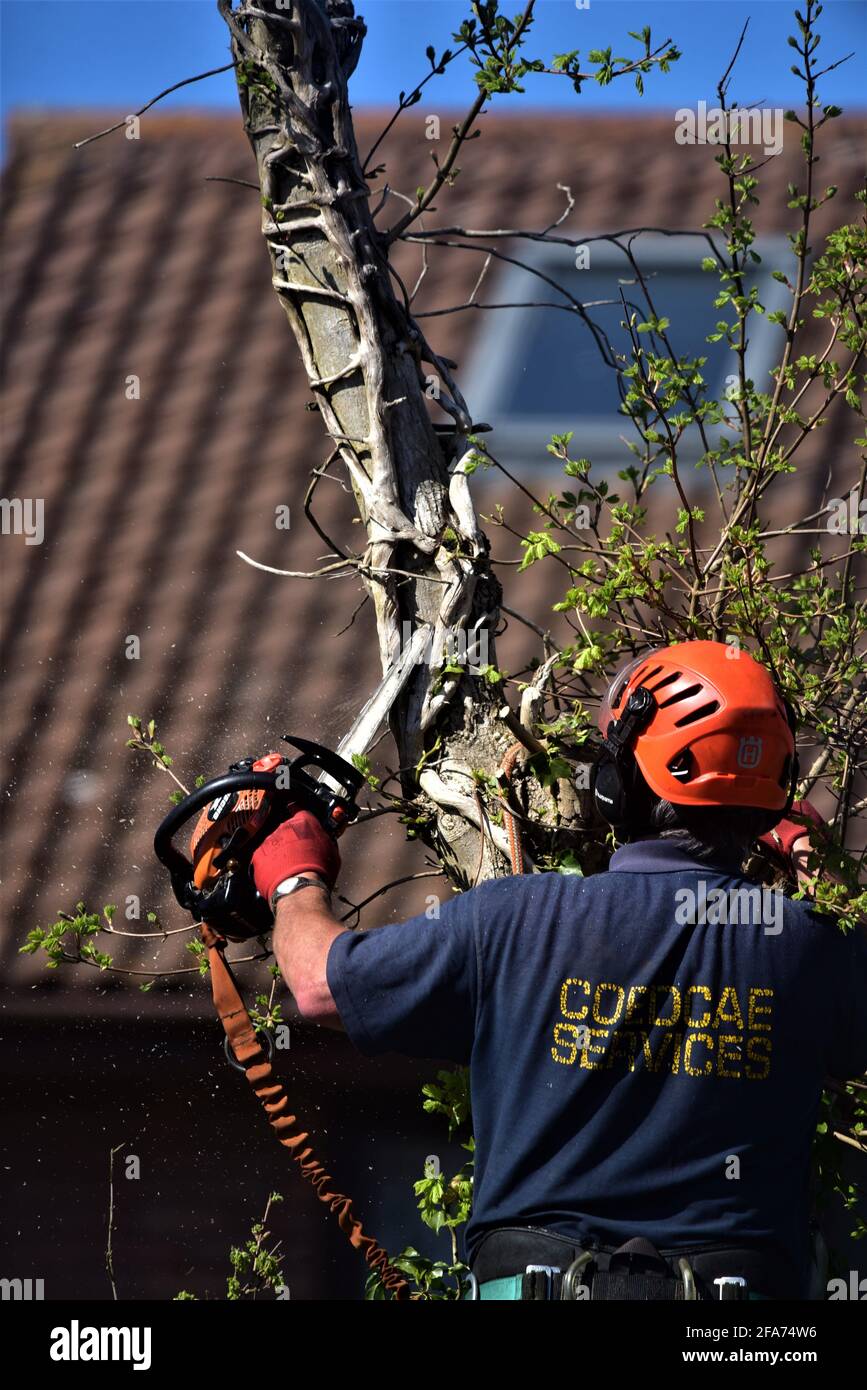 Ntpc logo hi-res stock photography and images - Alamy