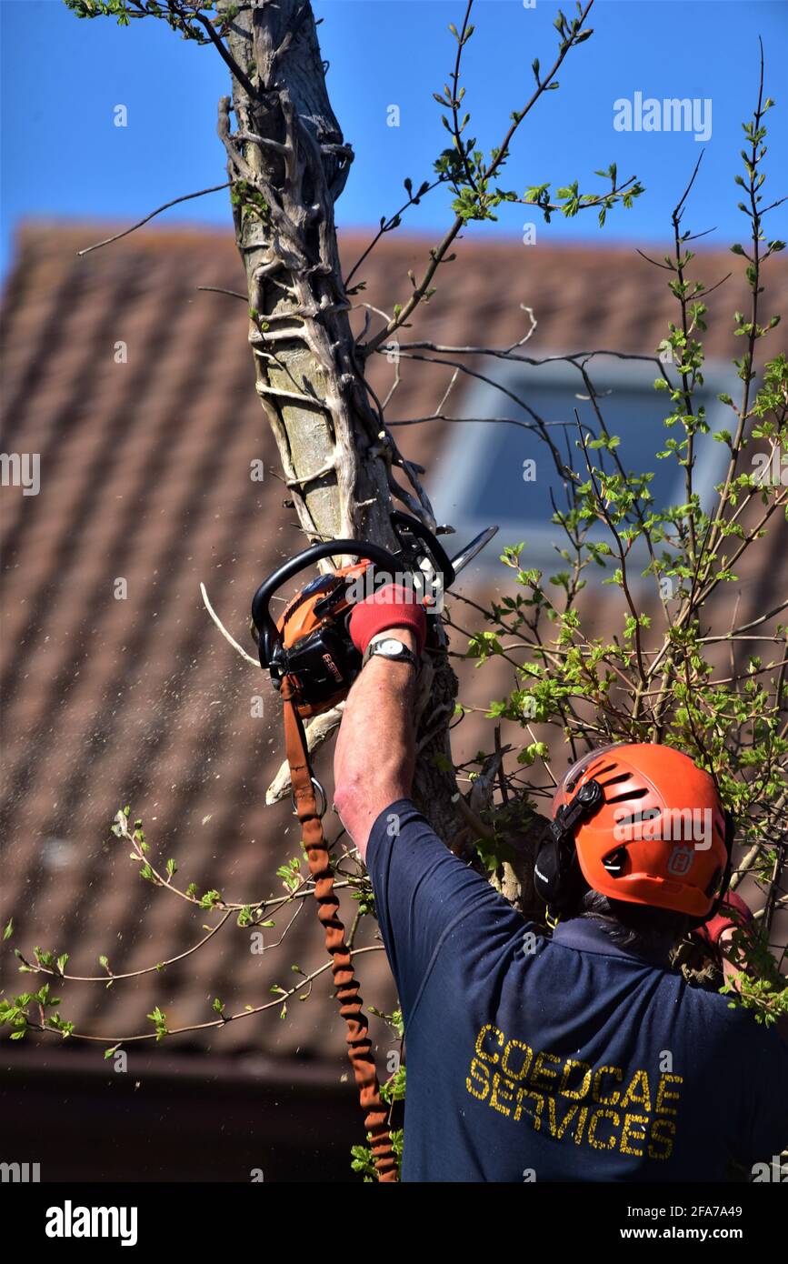 Ntpc logo hi-res stock photography and images - Alamy