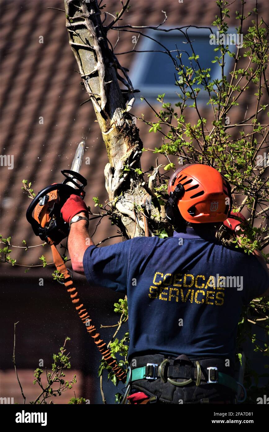 Ntpc logo hi-res stock photography and images - Alamy