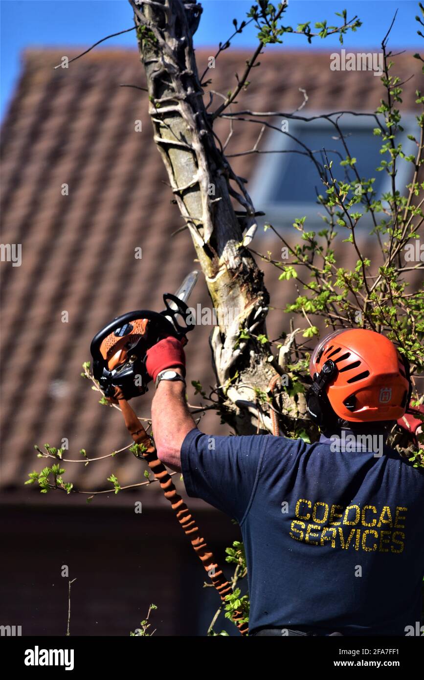 Ntpc logo hi-res stock photography and images - Alamy