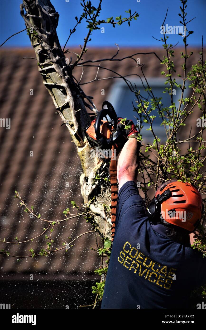 Ntpc logo hi-res stock photography and images - Alamy