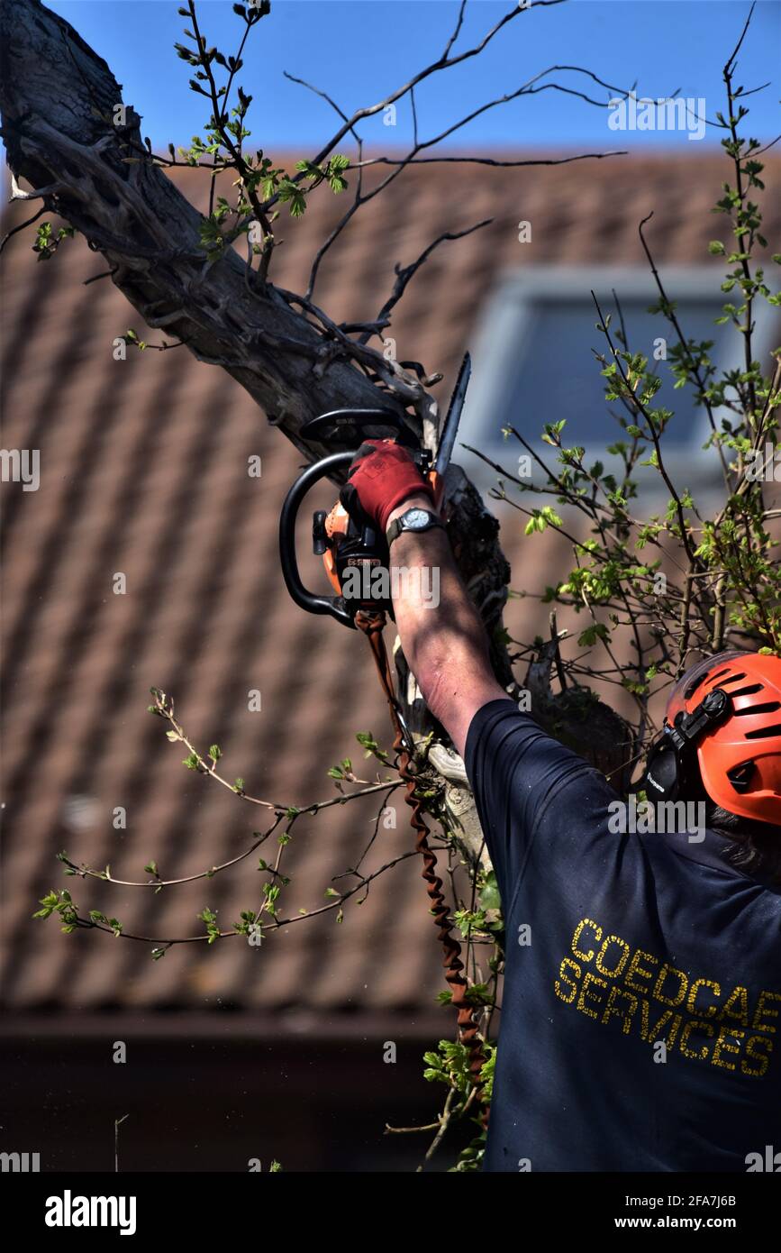 Ntpc logo hi-res stock photography and images - Alamy