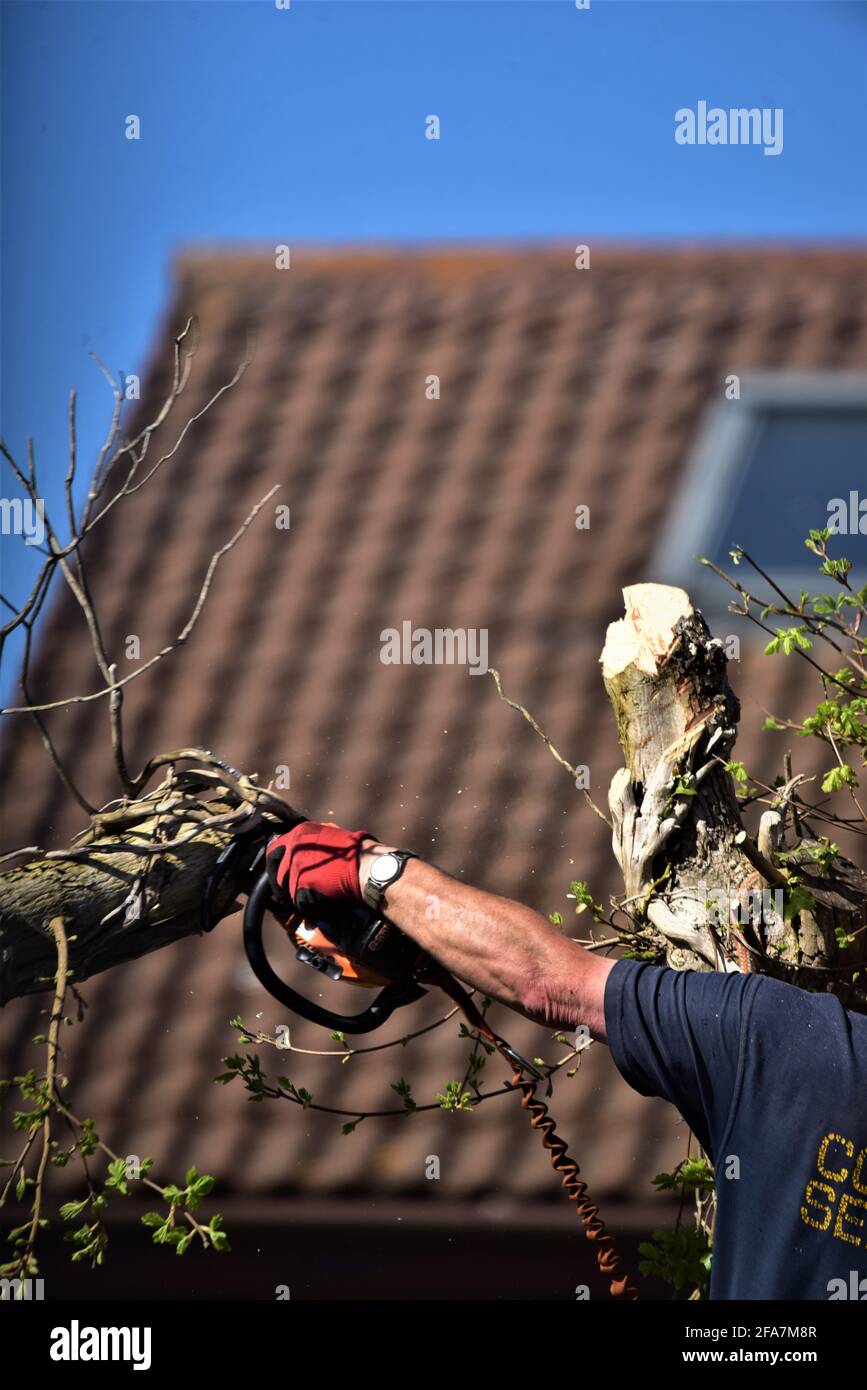 Ntpc logo hi-res stock photography and images - Alamy