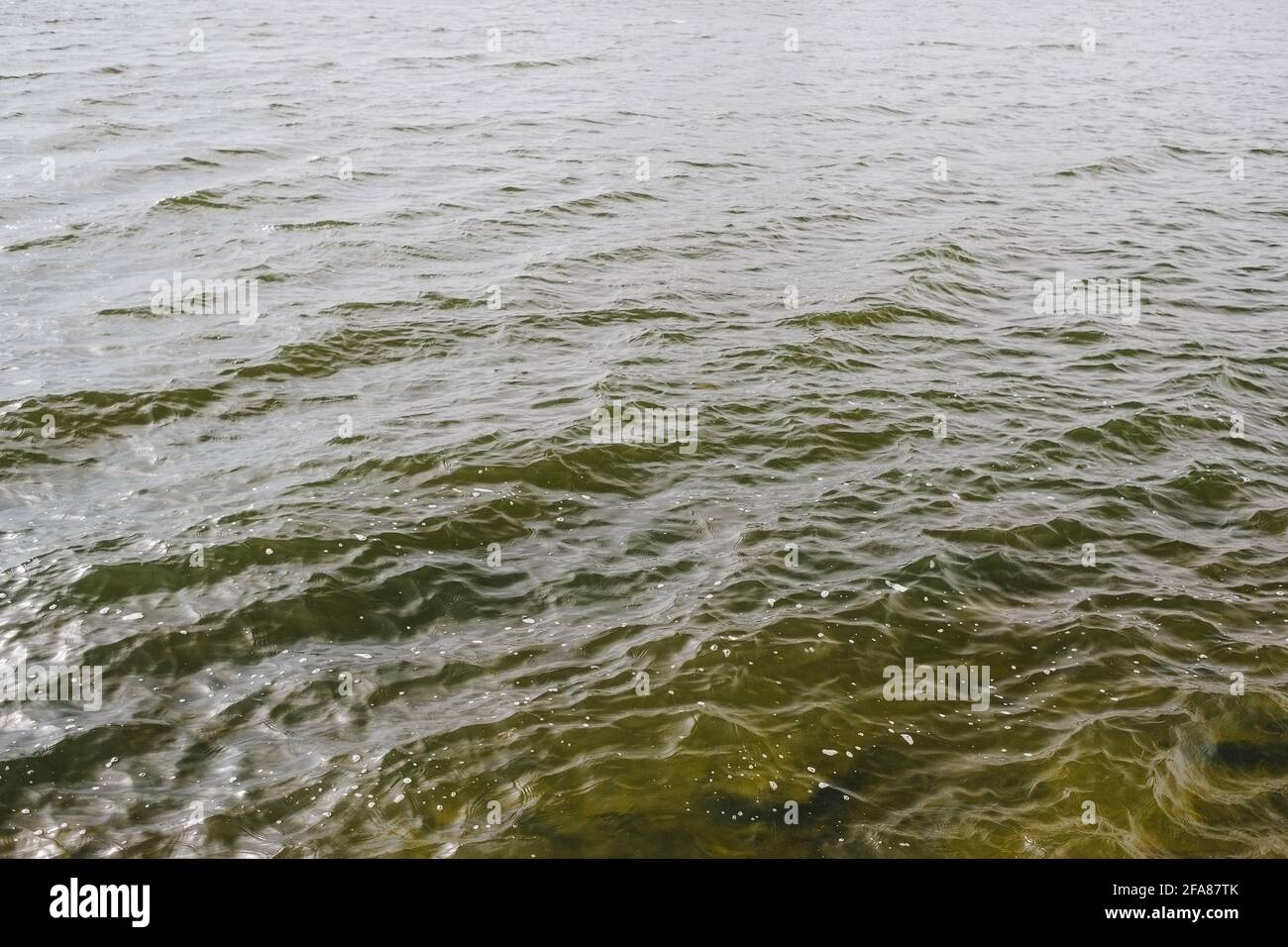 abstract water background. water river light nature pattern lake ...