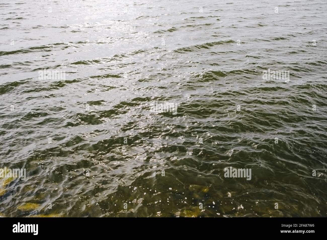 abstract water background. water river light nature pattern lake ...