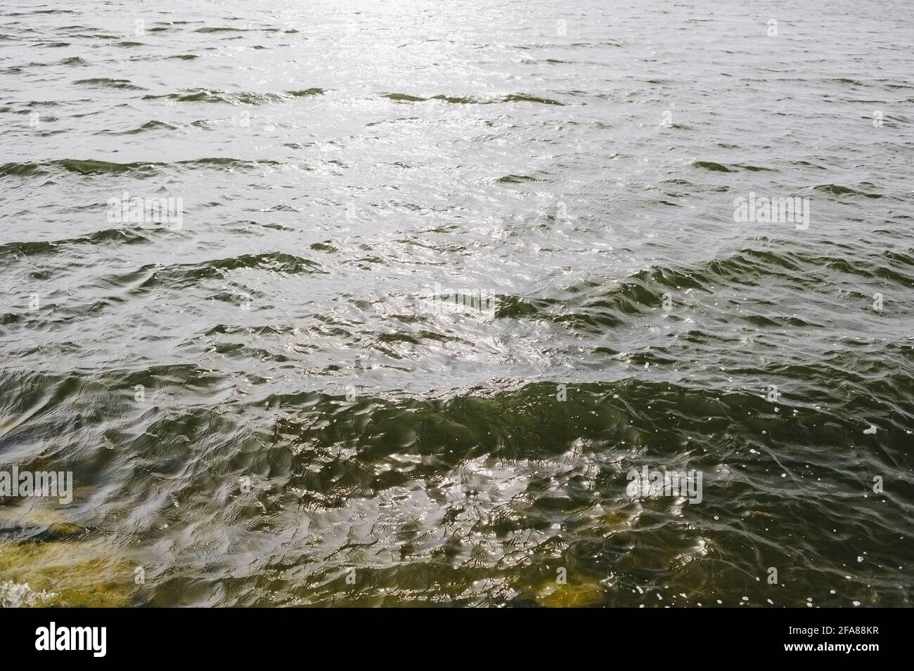 abstract water background. water river light nature pattern lake ...