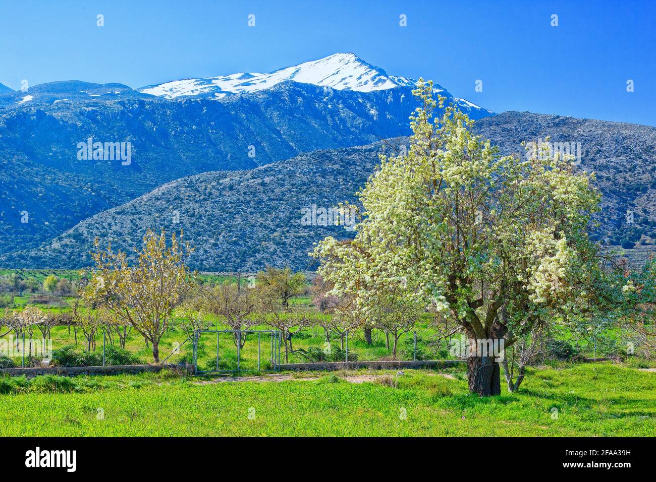 Lassithi plateau in Crete Stock Photo - Alamy