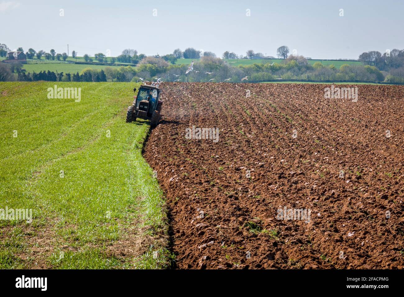 Farmer ploughing field in springtime Stock Photo - Alamy