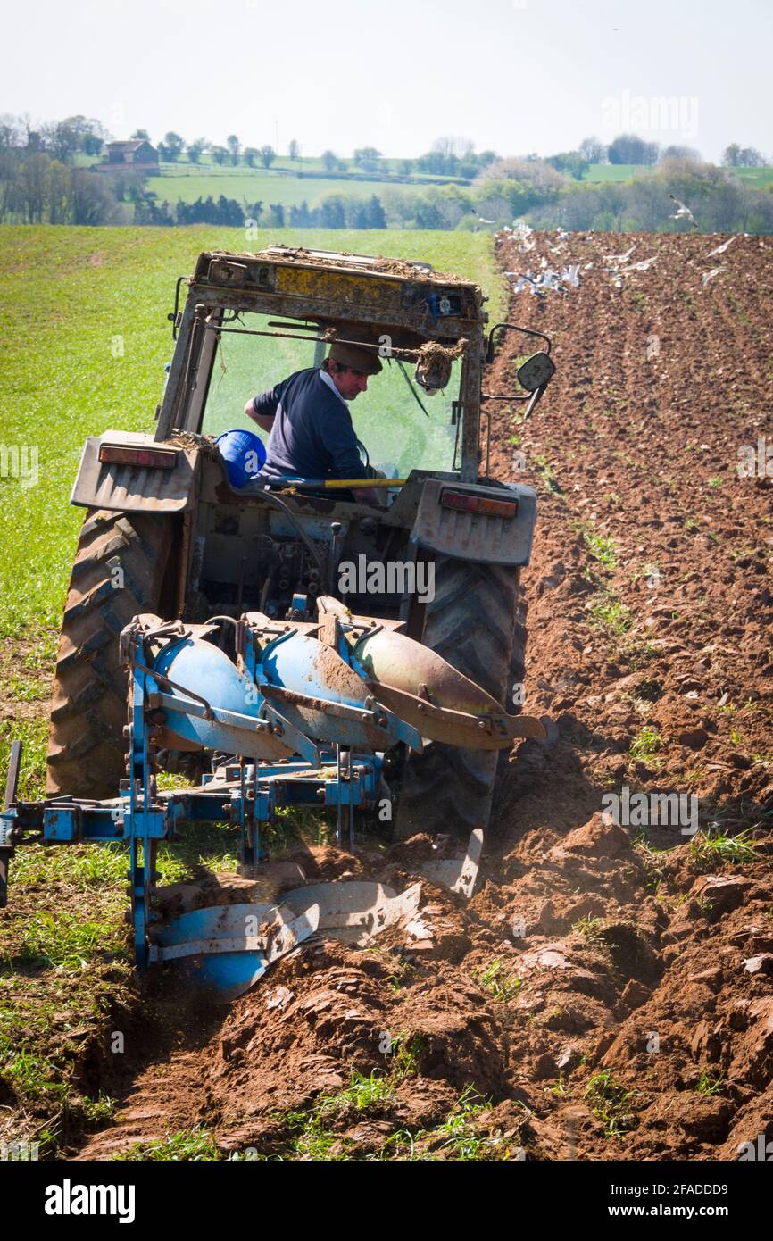 Farmer ploughing field in springtime Stock Photo - Alamy