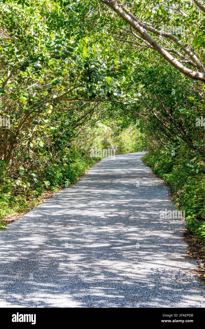 Shaded walkway hi-res stock photography and images - Alamy