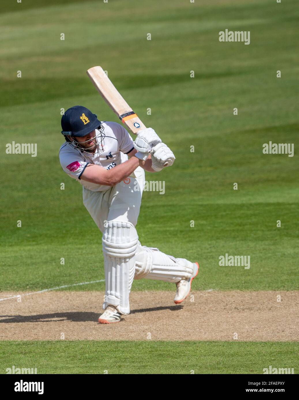 Matt lamb hi-res stock photography and images - Alamy