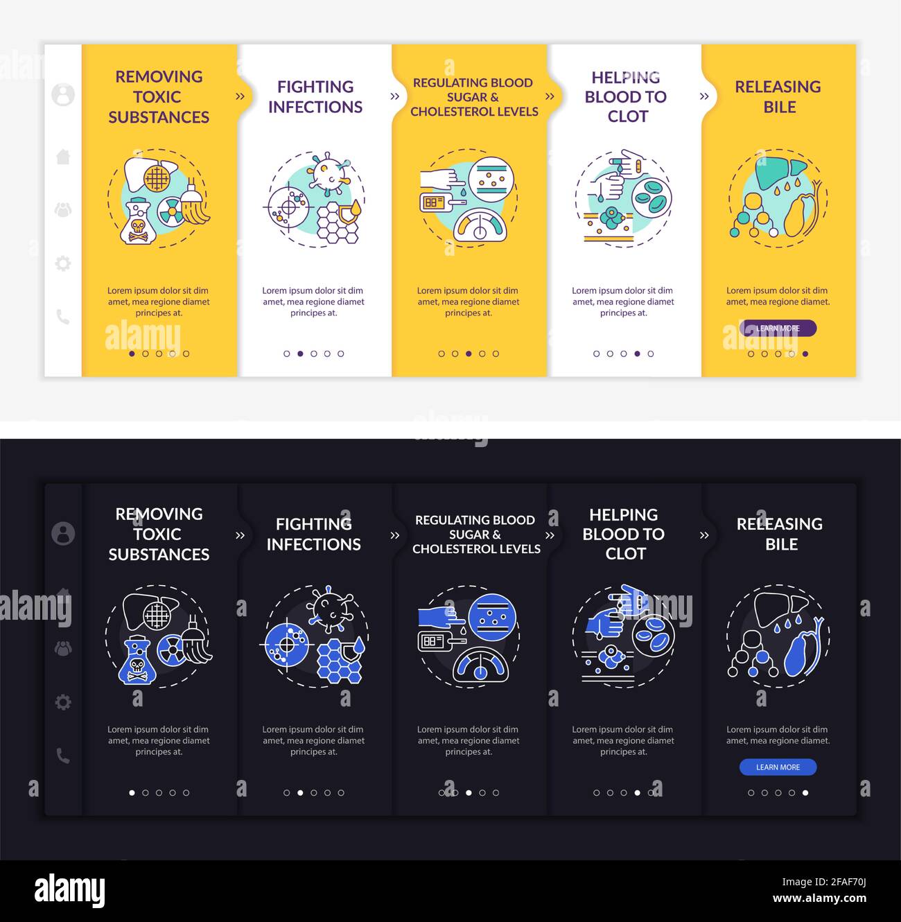 Hepatic roles onboarding vector template Stock Vector Image & Art - Alamy