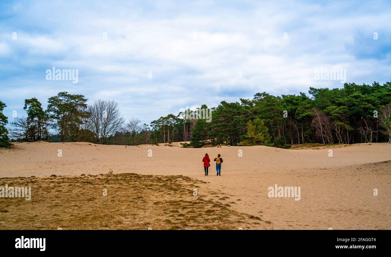 Landscape at Soesterduinen near Amersfoort, Netherlands Stock Photo - Alamy