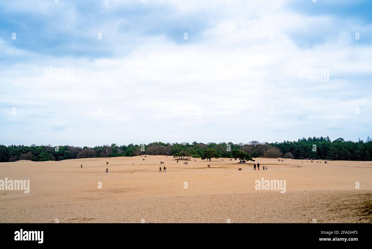 Soesterduinen amersfoort hi-res stock photography and images - Alamy