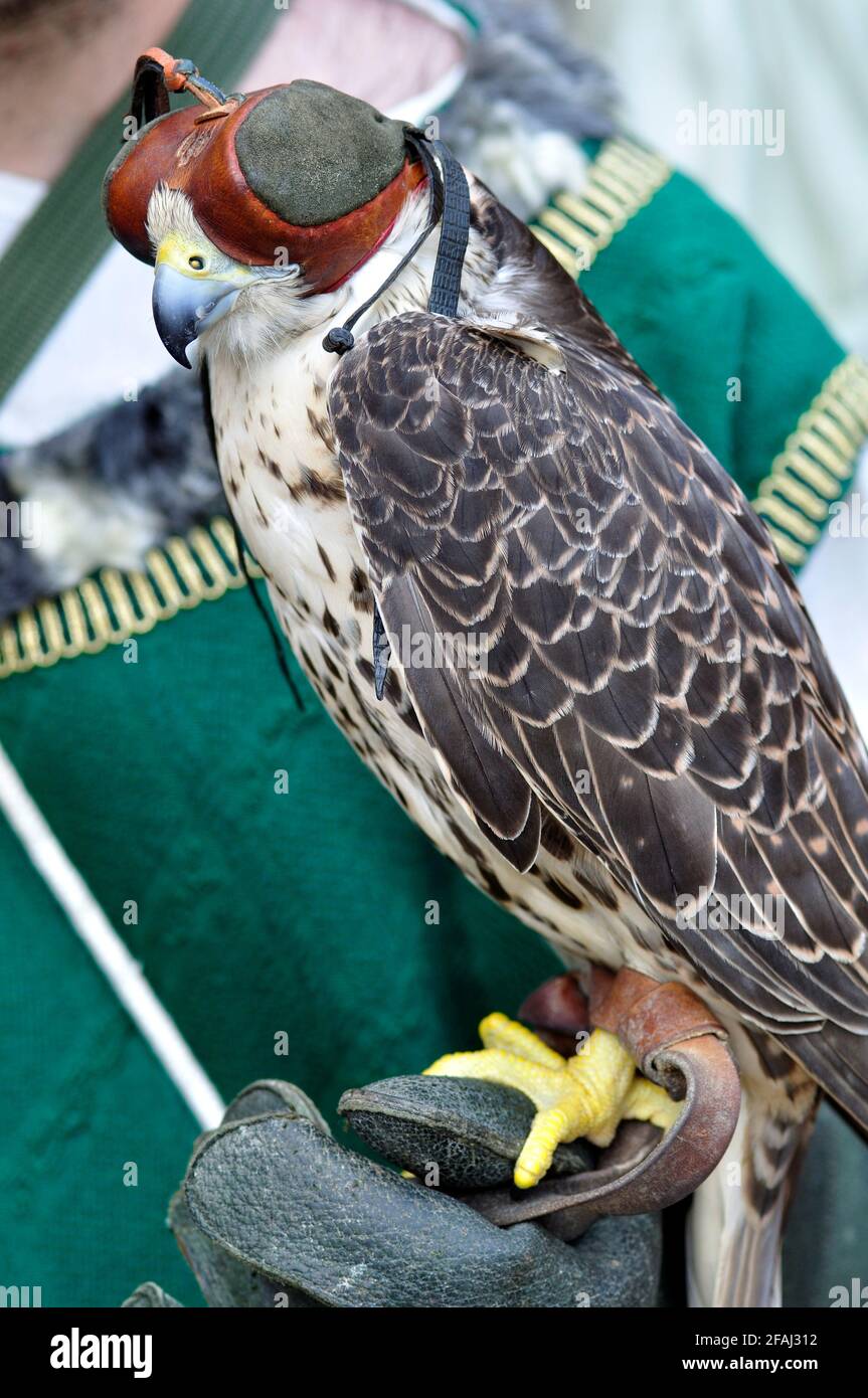 Male tradition hi-res stock photography and images - Alamy