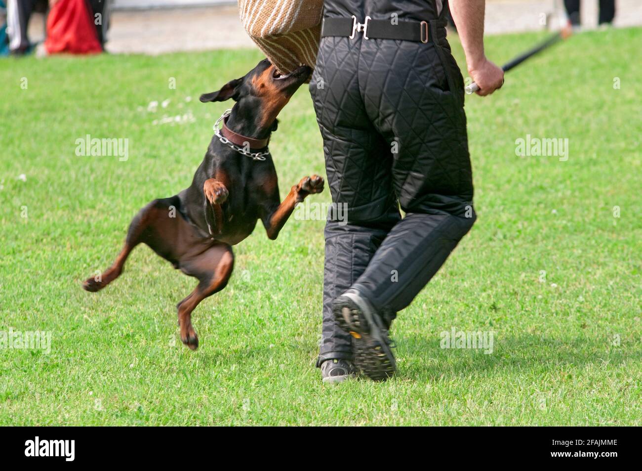 Dog attack people hi-res stock photography and images - Alamy