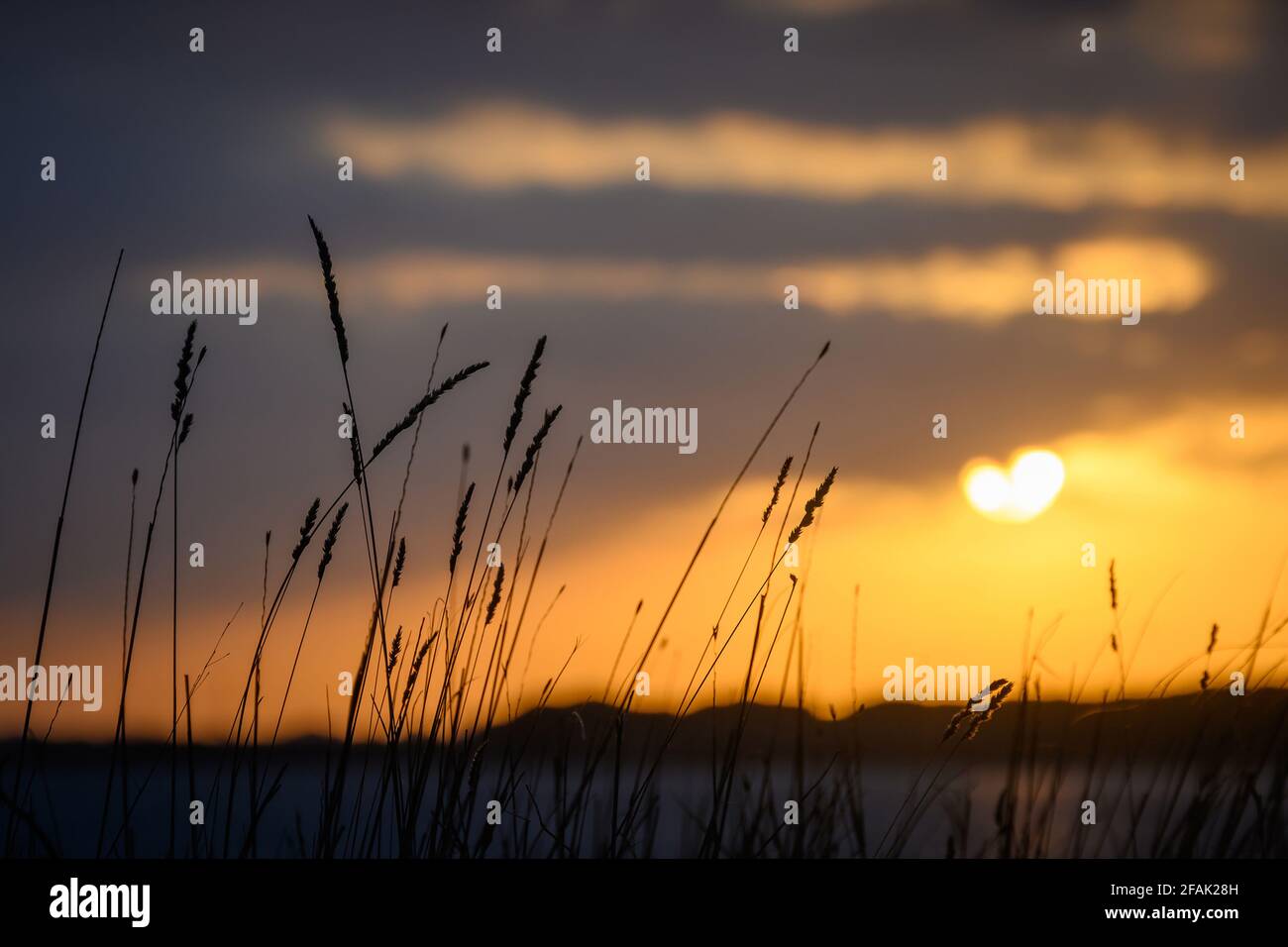 Golen Hour High Resolution Stock Photography and Images - Alamy