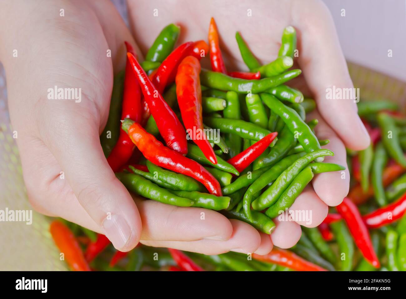 Woman cajun hi-res stock photography and images - Alamy