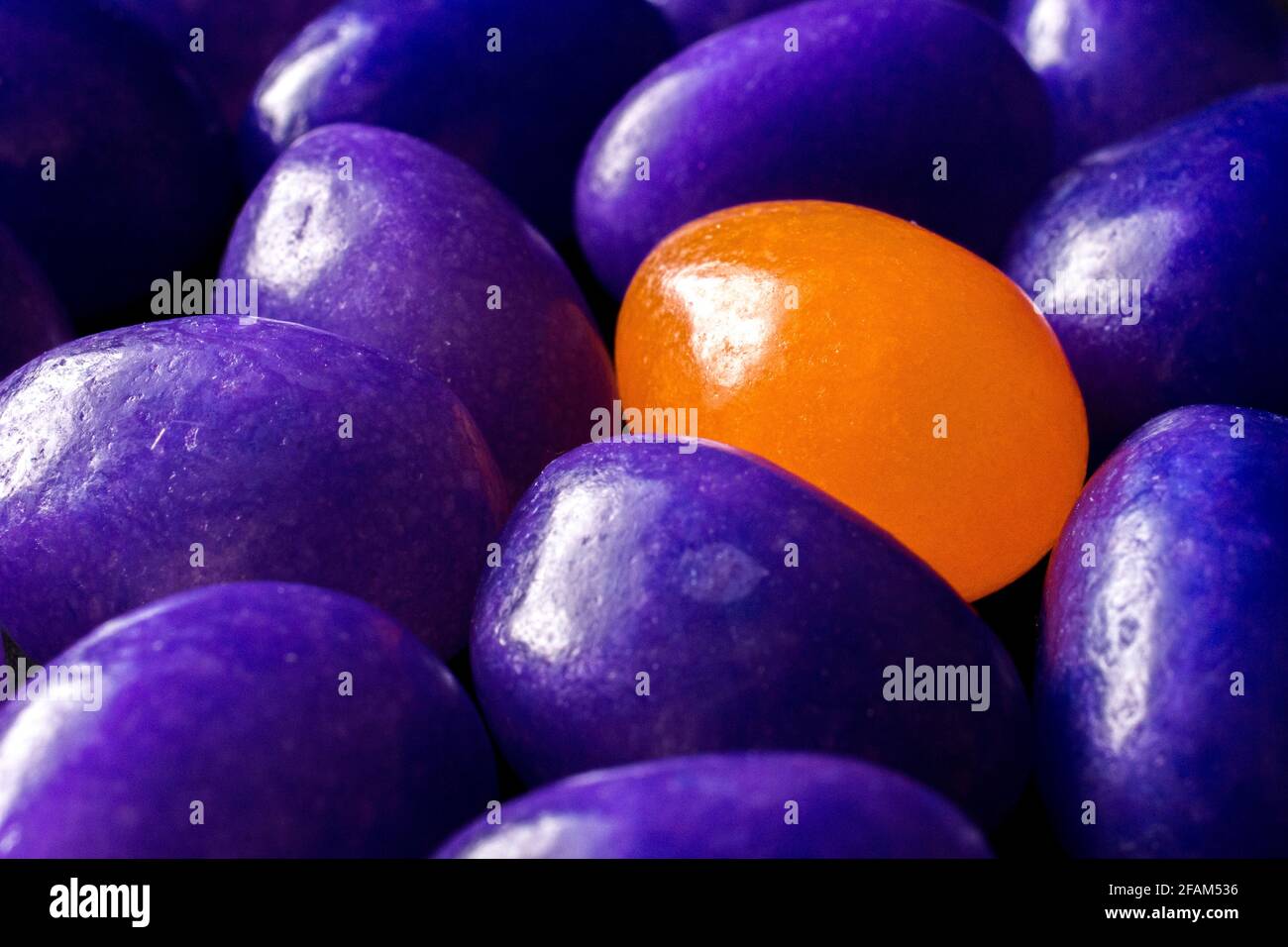 Purple Jelly Bean