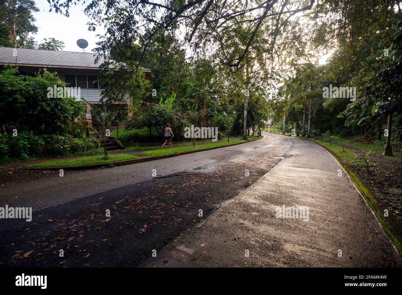 Street in the town of Gamboa, Colon province, Republic of Panama ...