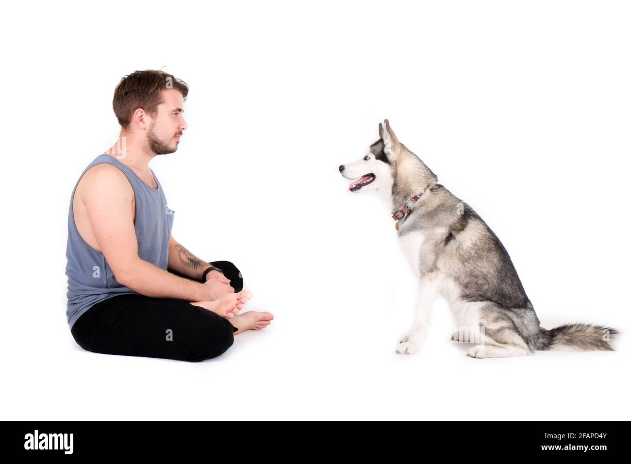 Portrait man pet Cut Out Stock Images & Pictures - Alamy