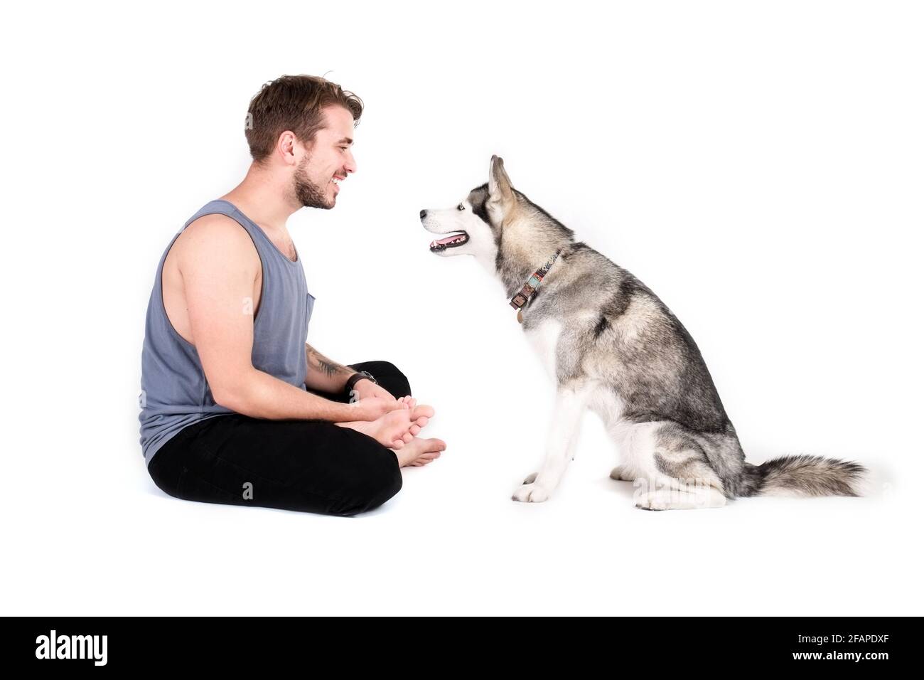 Four legged companion hi-res stock photography and images - Alamy