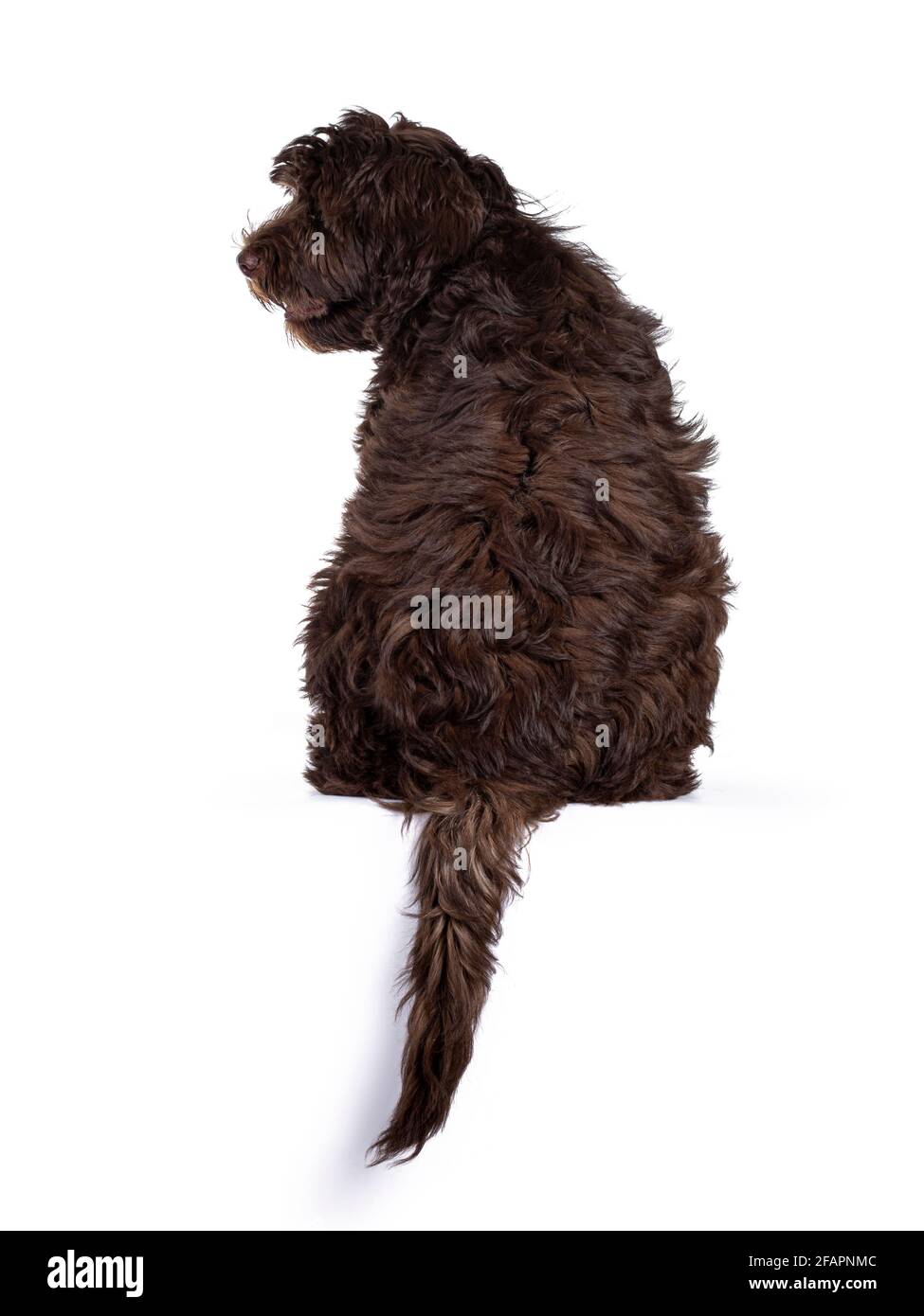 Edge profile Cut Out Stock Images & Pictures - Alamy